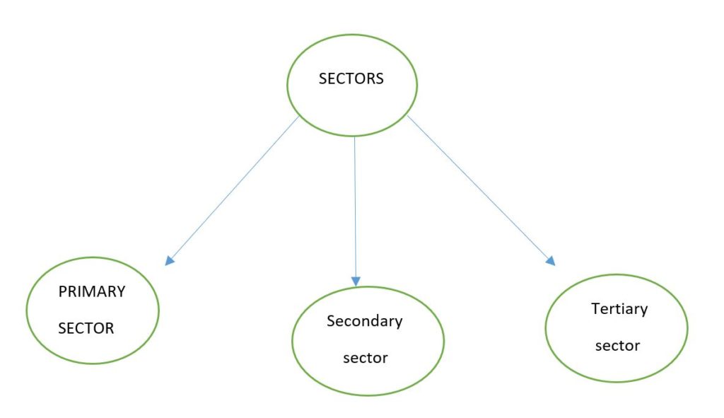 Demographic profile and Human resource, Sectoral distribution of Gross ...
