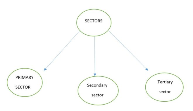 Demographic profile and Human resource, Sectoral distribution of Gross ...